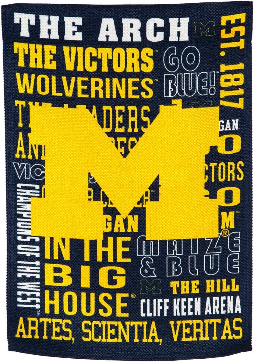 University of Michigan Wolverines Premium Double Sided Banner Flag 28x ...